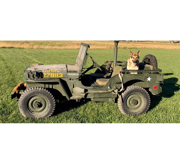 1941 Willys Jeep one of the French M201 Willys Hotchkiss Jeeps 15